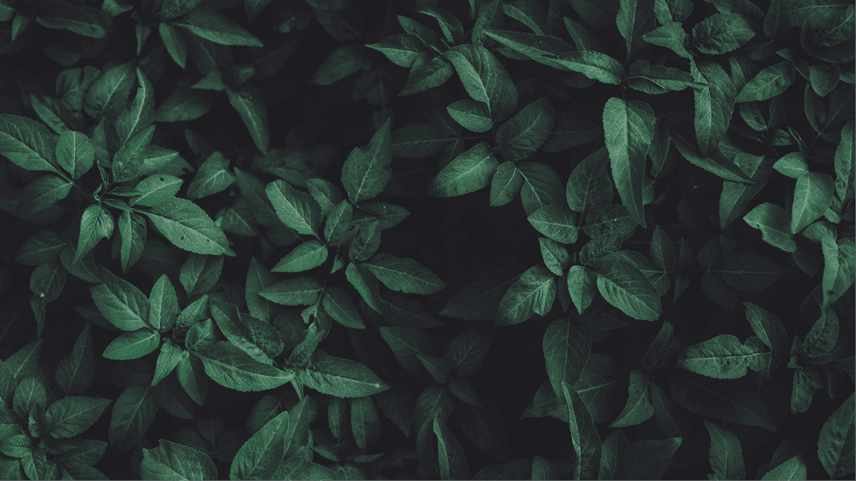 Preenchimento do mento: quando a técnica é indicada?